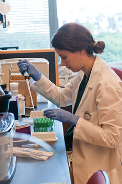 Postdoctoral Fellows Immunology